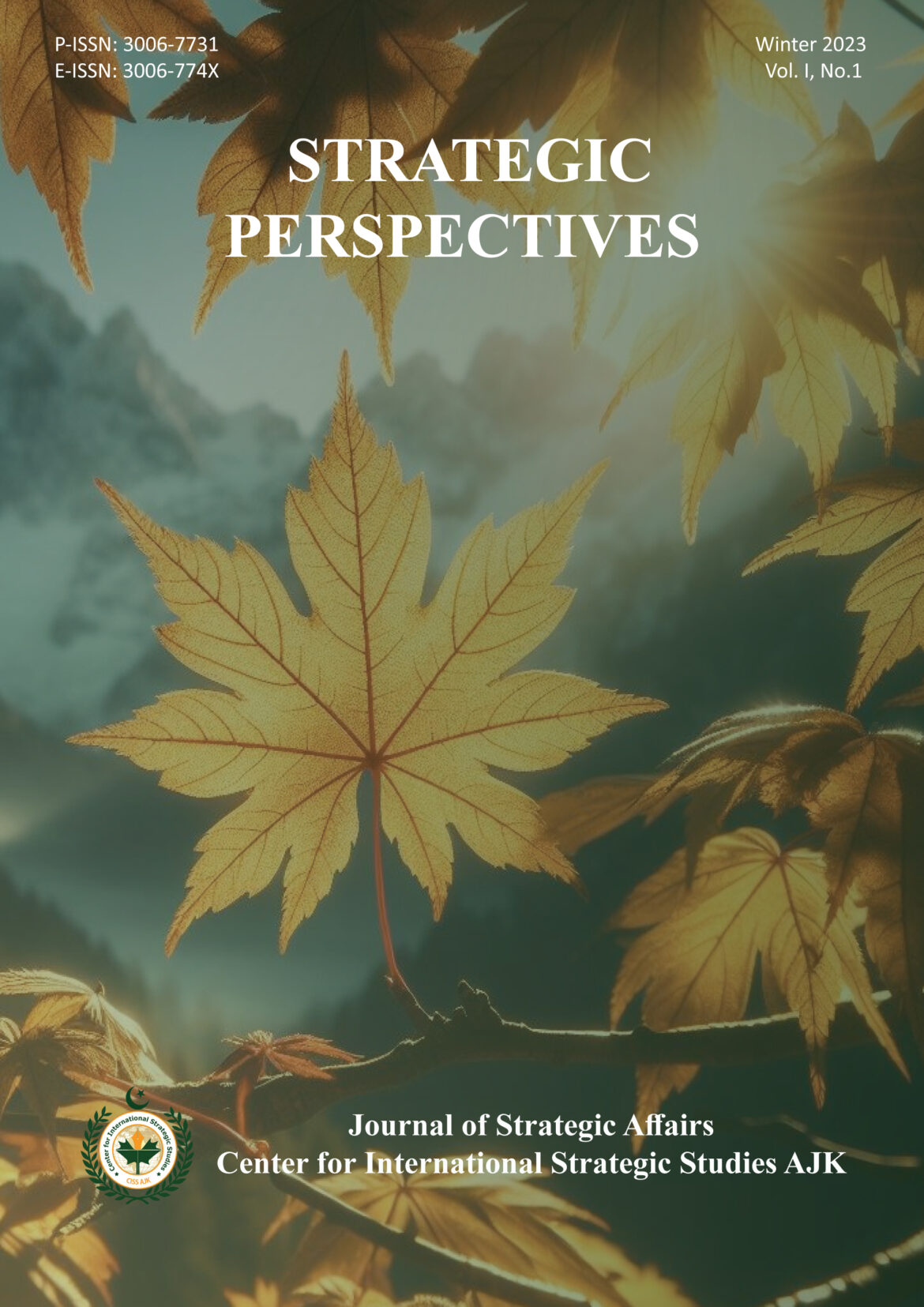 Strategic Perspective