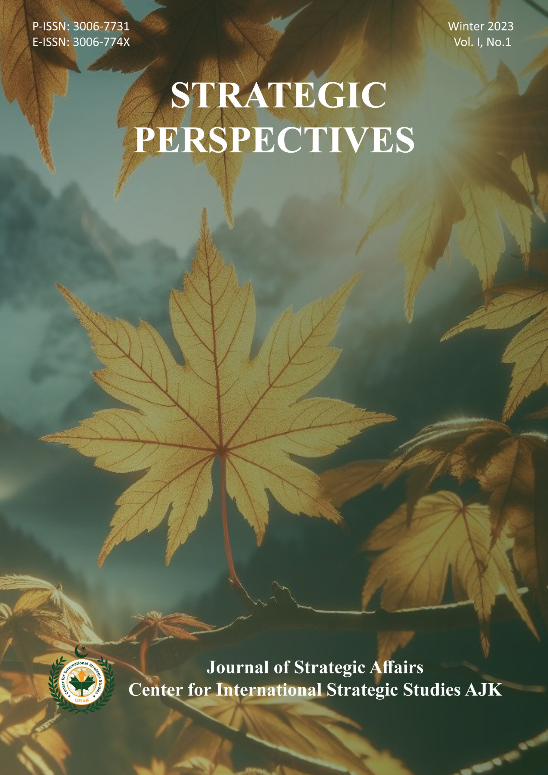 Strategic Perspective